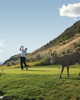 Rivershore Golf | Kamloops Golf | Okanagan Golf | Golf in BC