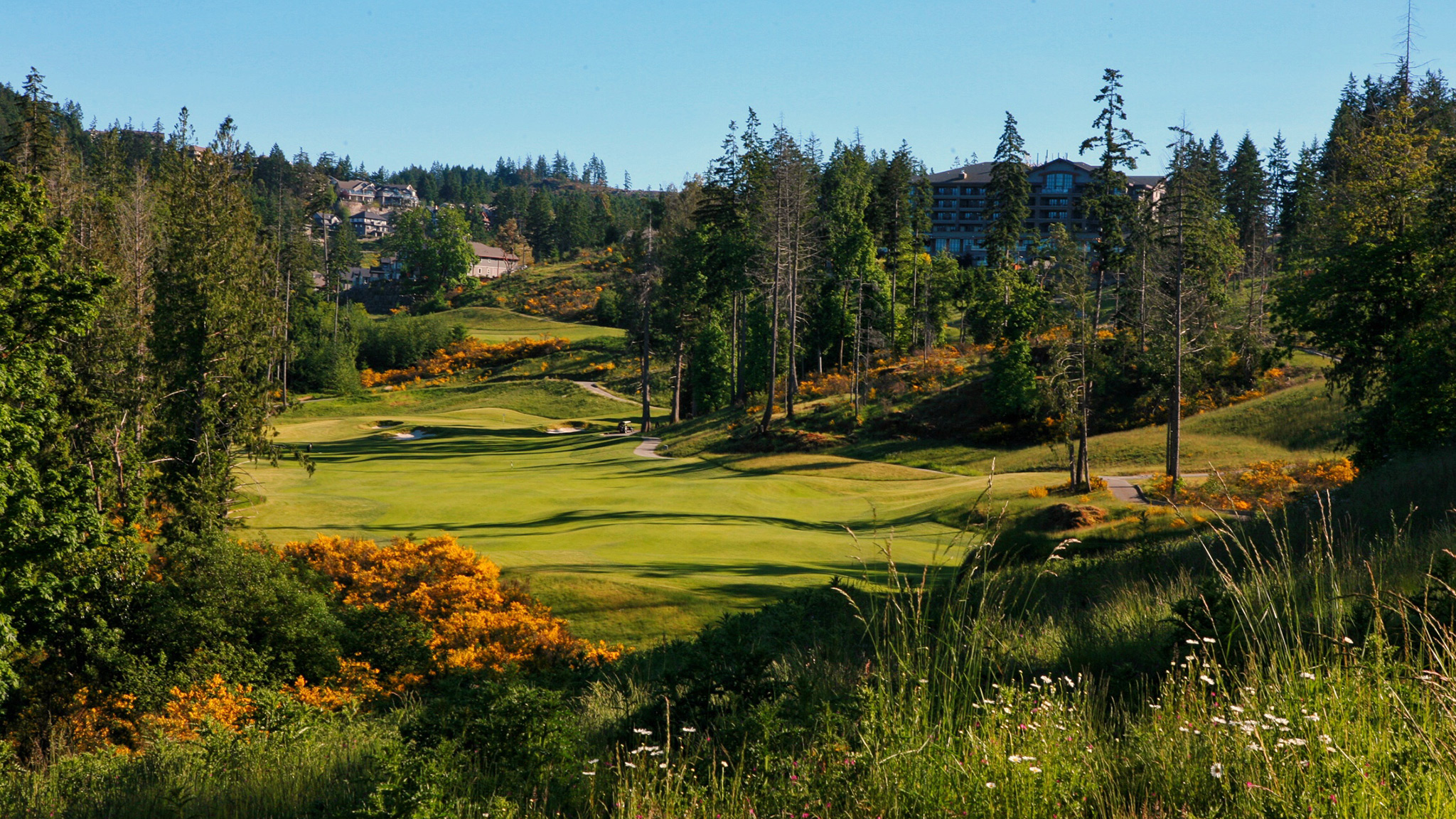 BC Golf Packages that Will Blow Your Mind | Golf in British Columbia
